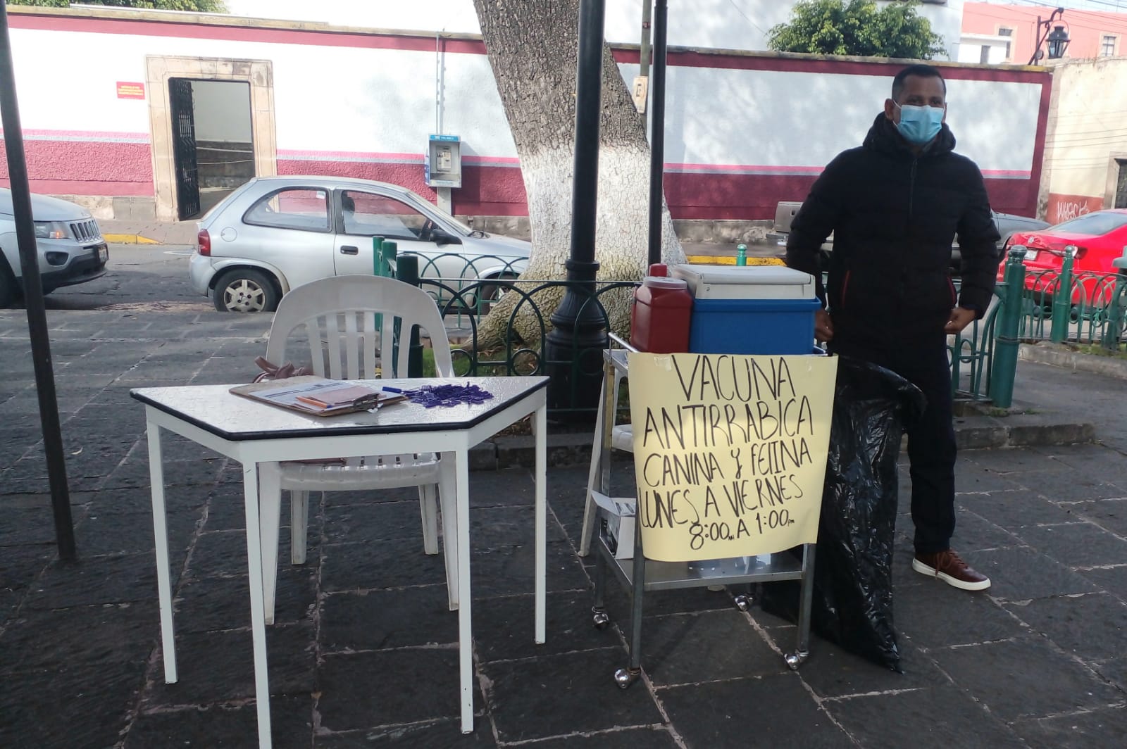 Salud Habilita Ssm Módulo De Vacunación Antirrábica Felina Y Canina