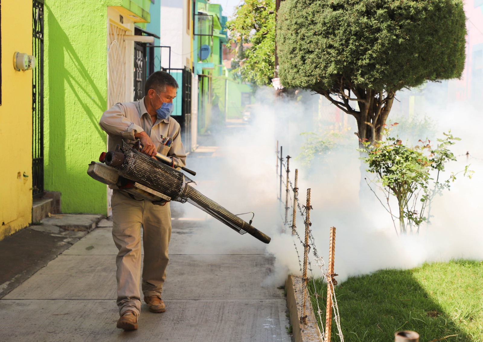 SALUD | Sin tregua, acciones de combate al dengue: SSM