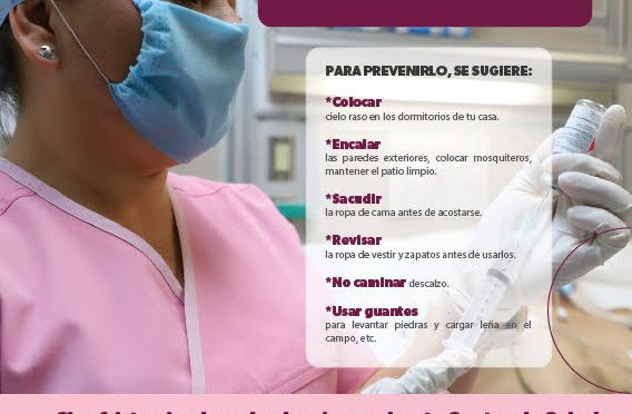 SALUD | Emite SSM recomendaciones para prevenir picaduras de alacrán