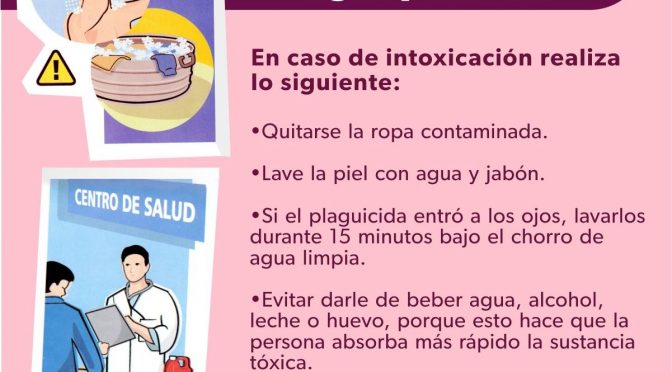 SALUD | Evita intoxicaciones por uso de agroquímicos, sigue estas ...