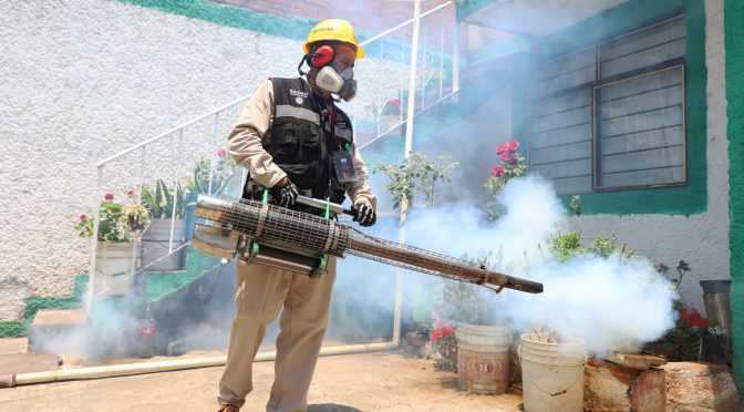 SALUD | Michoacanos se suman a las acciones de combate al dengue: SSM