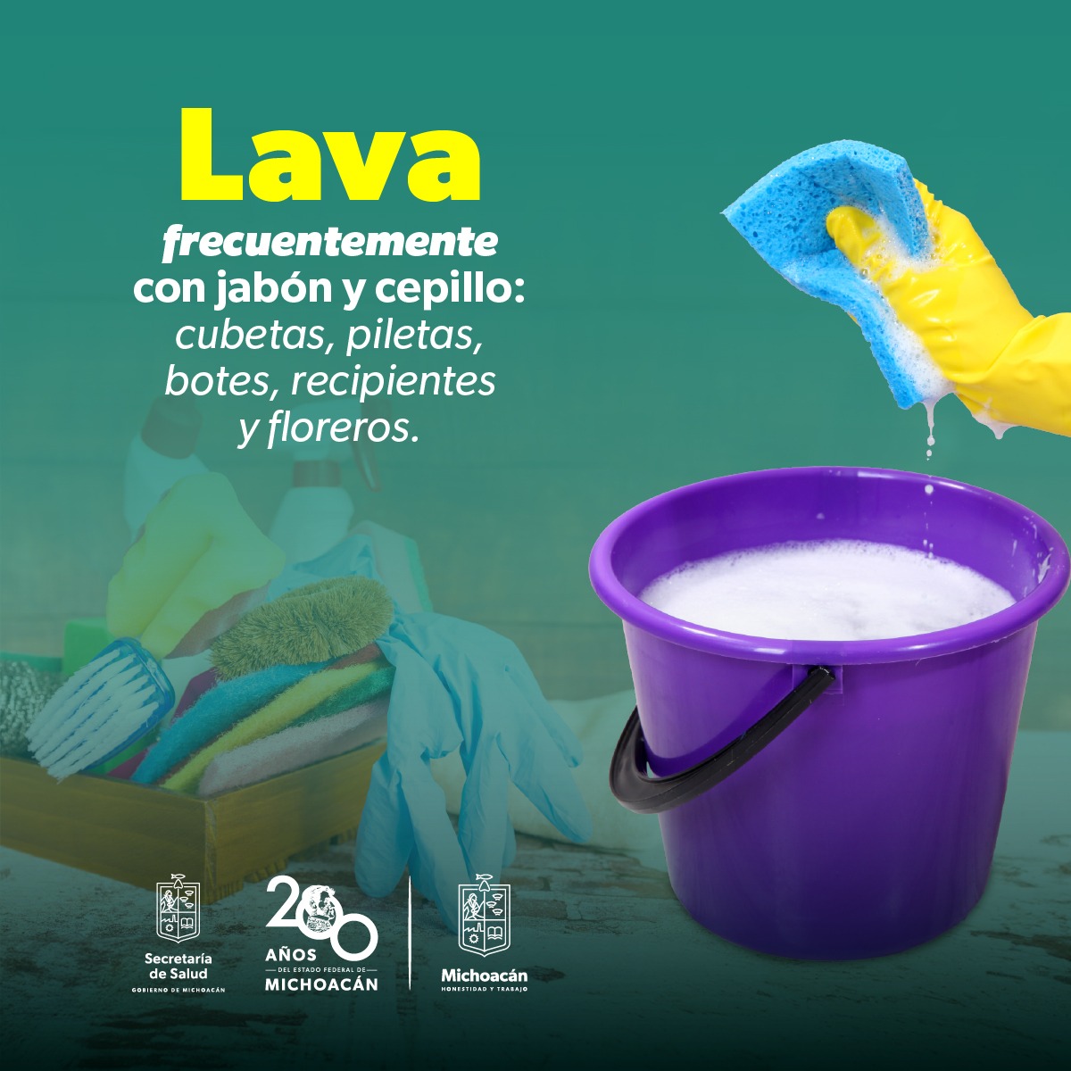 SALUD | Lava, tapa, voltea y tira todo lo que acumule agua para ...